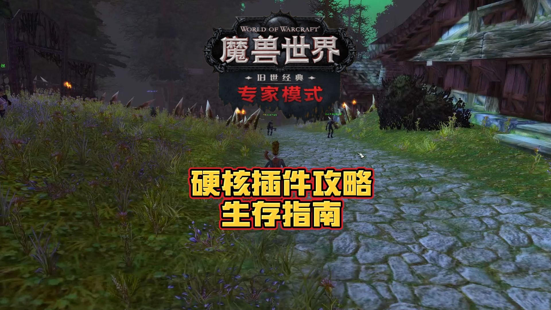 魔兽硬核模式生存指南!插件攻略!看完这个视频能多活几级!_魔兽世界