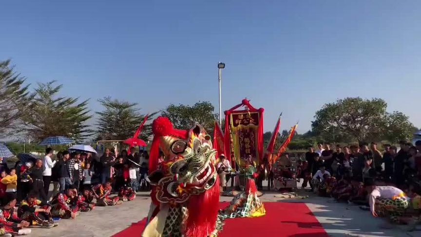 #民俗文化 #醒狮传承 #年味 #见者好运 #舞狮 #舞狮表演