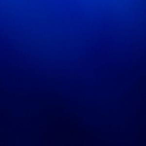 载乘七 