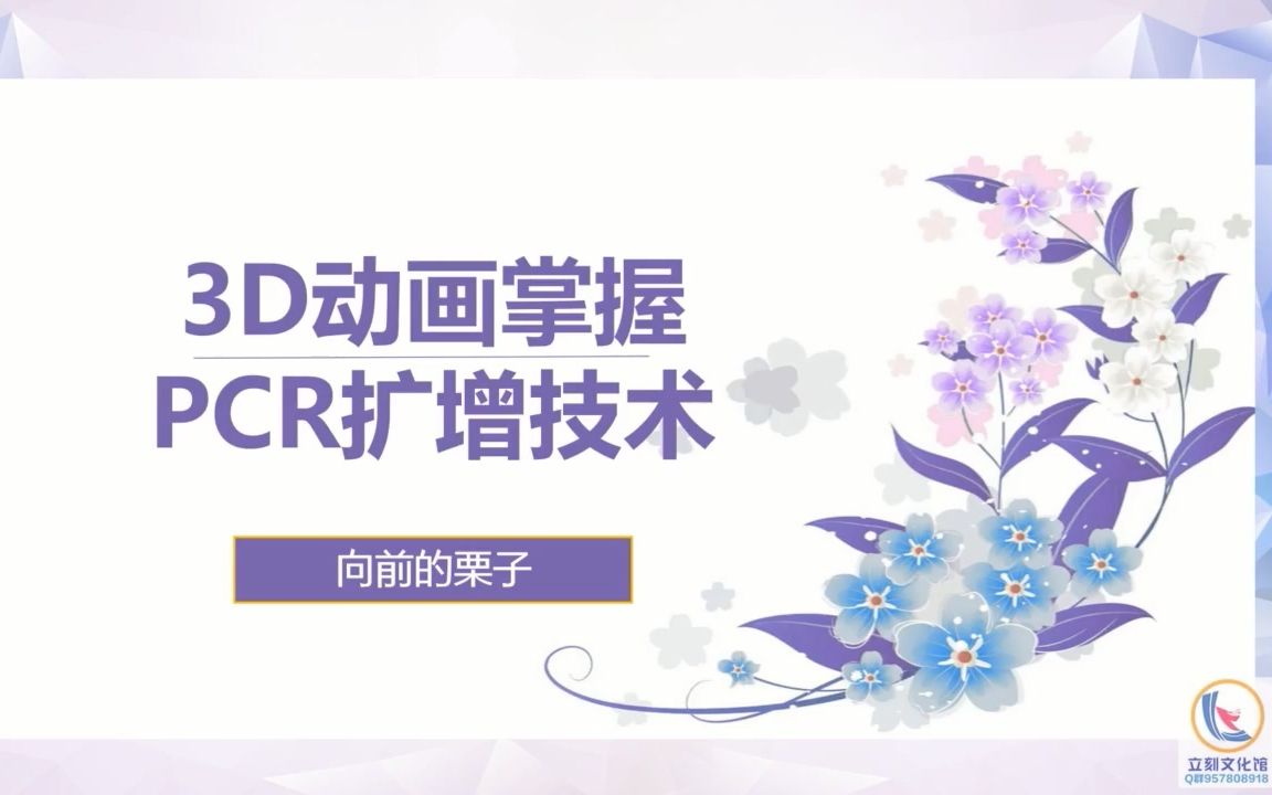 29.【3D微动画】2分钟掌握PCR扩增技术【向前的栗子生物课】