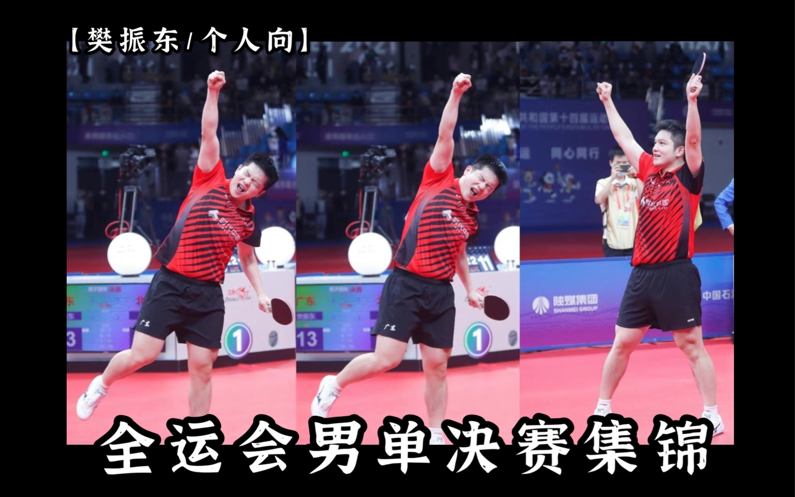 【樊振东/个人向】2021全运会男单决赛集锦
