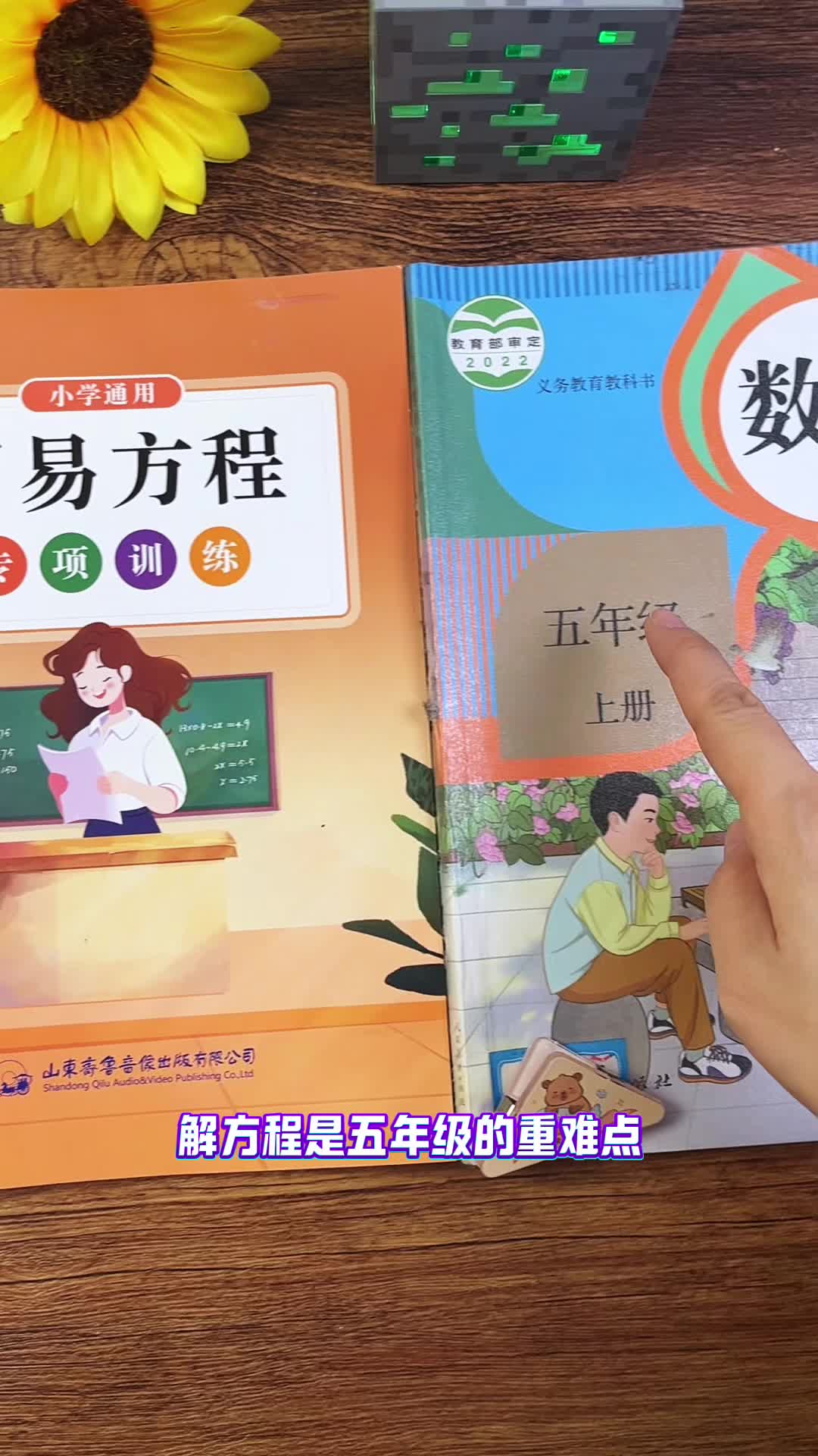 解方程是5年级重难点,给他准备一本解方程专项训练吧#小学数学 #...