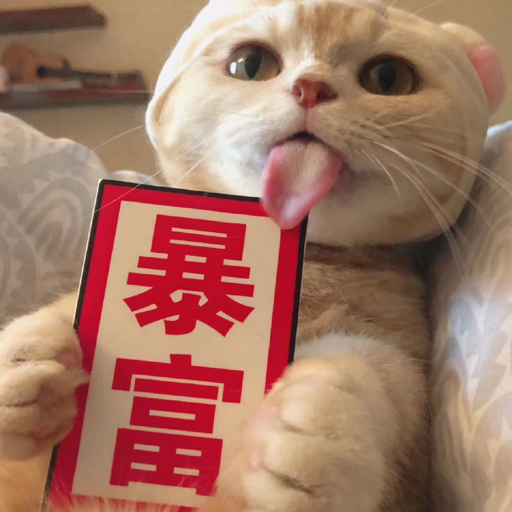 甜甜教你做电商 