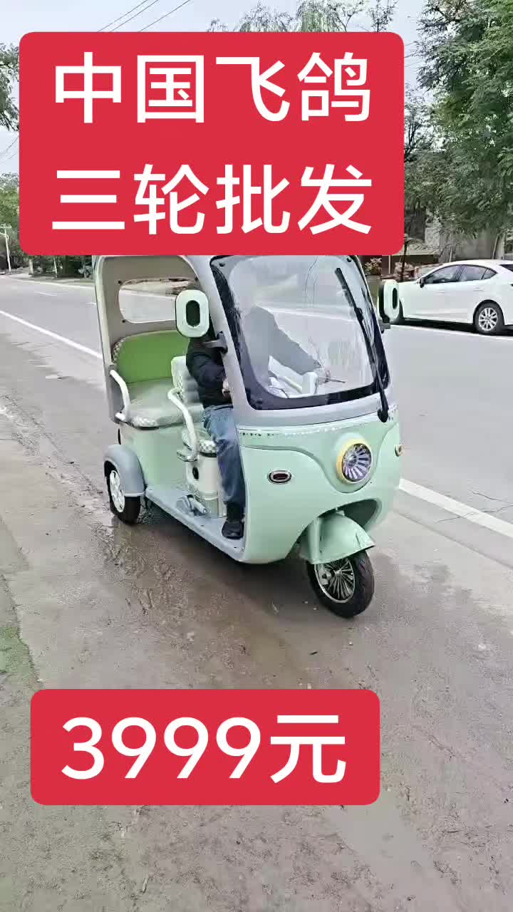#飞鸽三轮 #休闲三轮车 #老年代步车