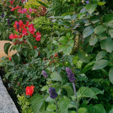 响马一溜烟栽楞个跟头 