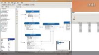 如何使用 Navicat 从现有数据库创建模型