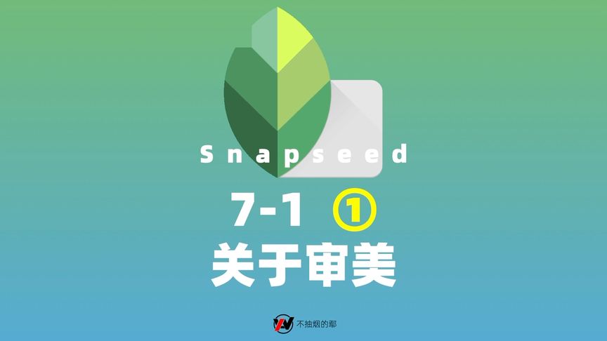 Snapseed手机修图教程7-1片段:关于审美!