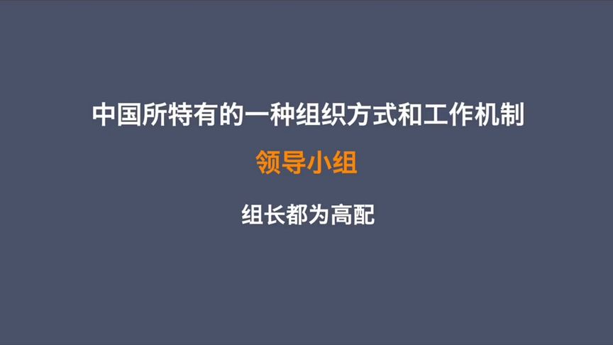 中央领导小组组长
