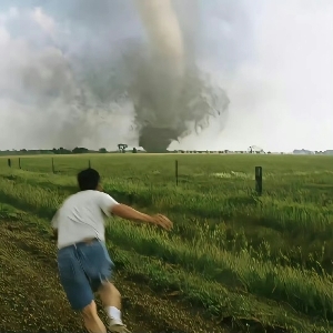 大王叫我来干嘛_ 