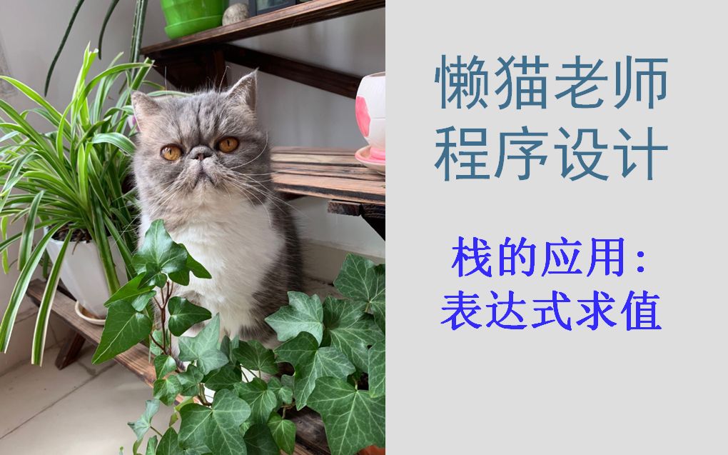 懒猫老师-数据结构-(9)堆栈应用:表达式求值讲解