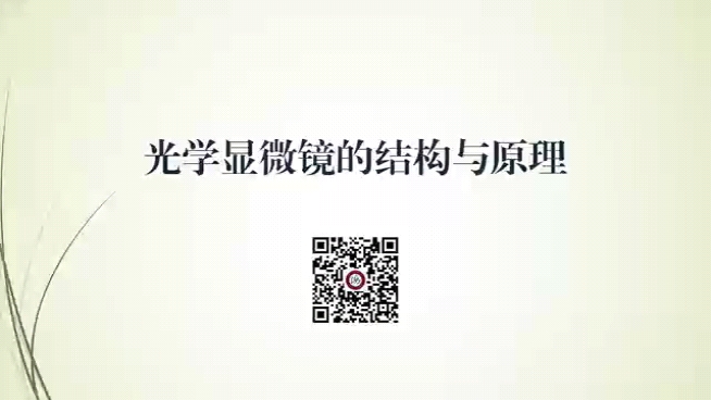 数字化教学资源《光学显微镜结构与原理》