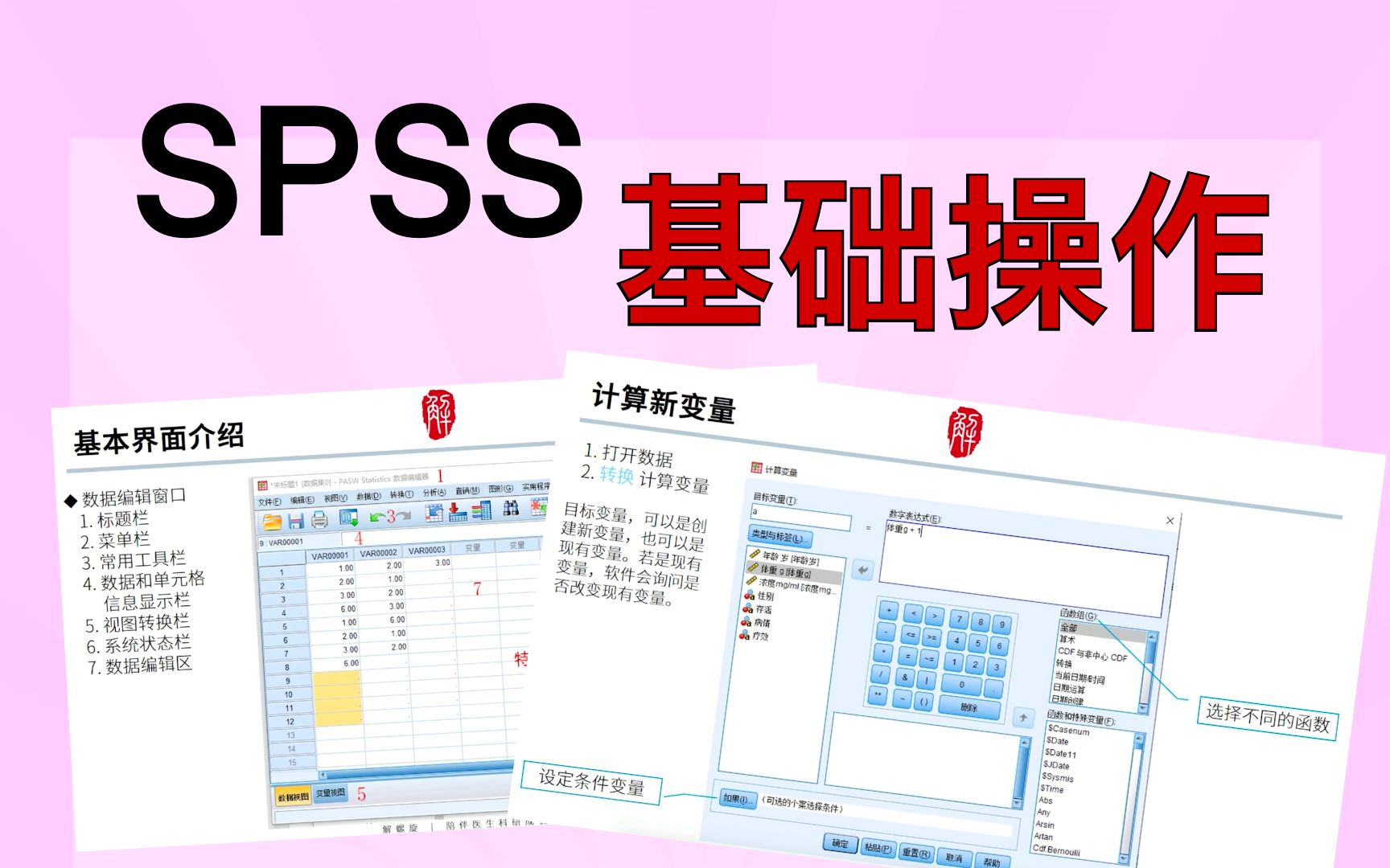 【科研技术】SPSS基础操作还不会?那你的实验数据分析找你凡尔赛...