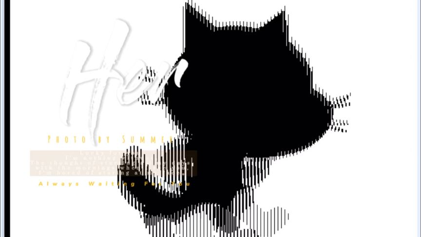 Scratch 猫的影子,视觉的享受