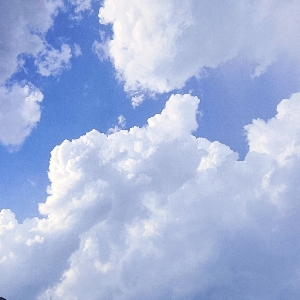 丨空氣系丨 
