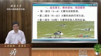 语文微技能教学04 教学过程与环节设计