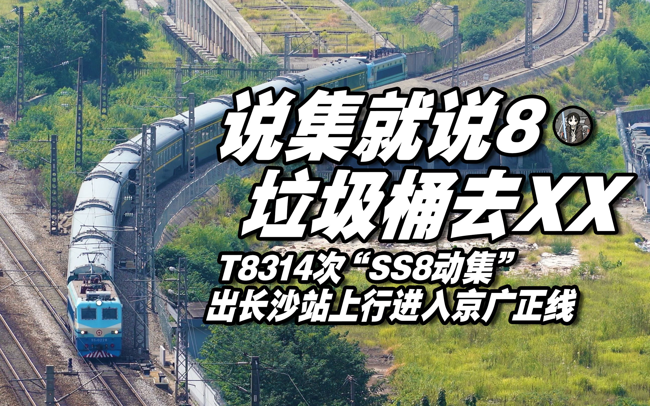 【中国铁路】集你太美(广铁限定)T8314次“SS8动集” 出长沙站上行...