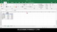 2.13 移动和复制工作表