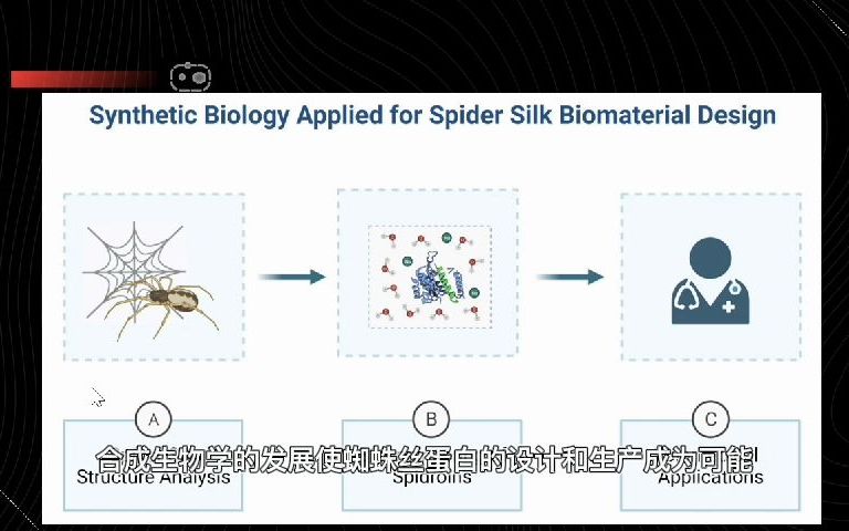 每日一合成生物学进展 2022.8.30 用于生物医用材料生产的蛛丝生物...