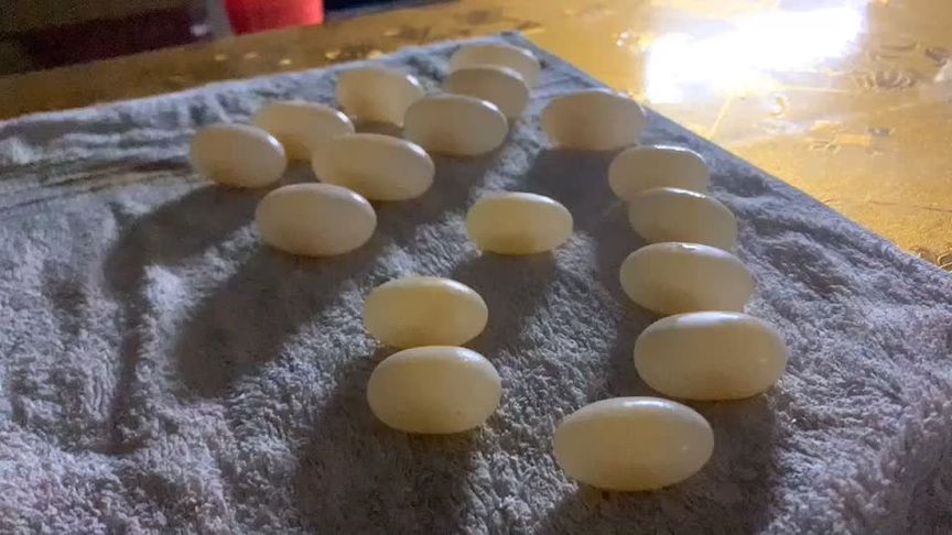 区分受精跟不受精 方法很简单 蛋黄下沉 可以晃动的就是受精蛋