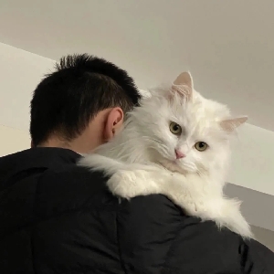 张三学疯了 