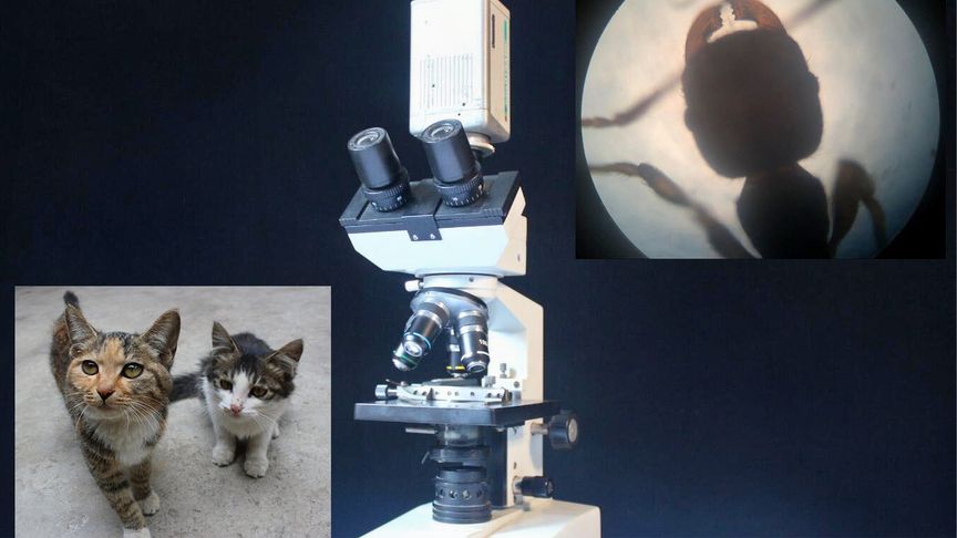 显微镜拆解和组装