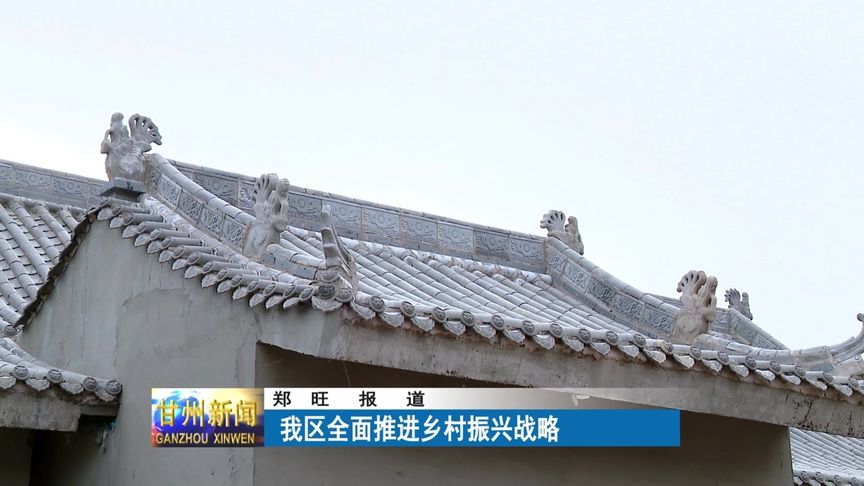 我区全面推进乡村振兴战略