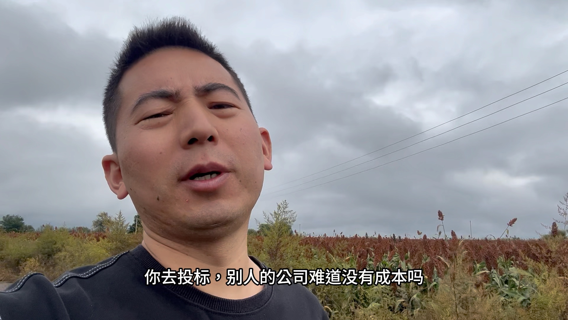 先开分公司,中标再给管理费?