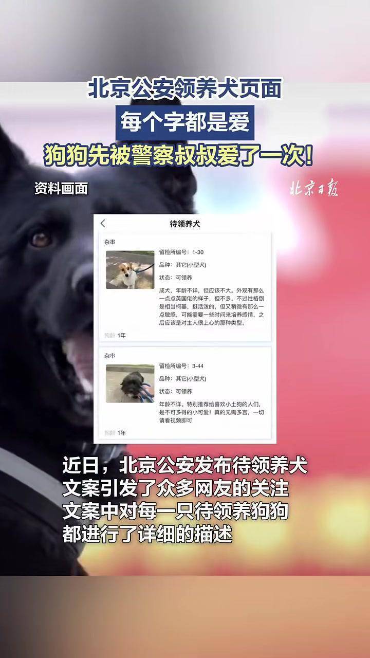#北京公安的文案被夸上热搜"眼神清澈又愚蠢""谁来谁喜欢""有些胆小...