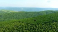 新闻30分 2022 国家林草局:我国全面建立林长制目标如期实现