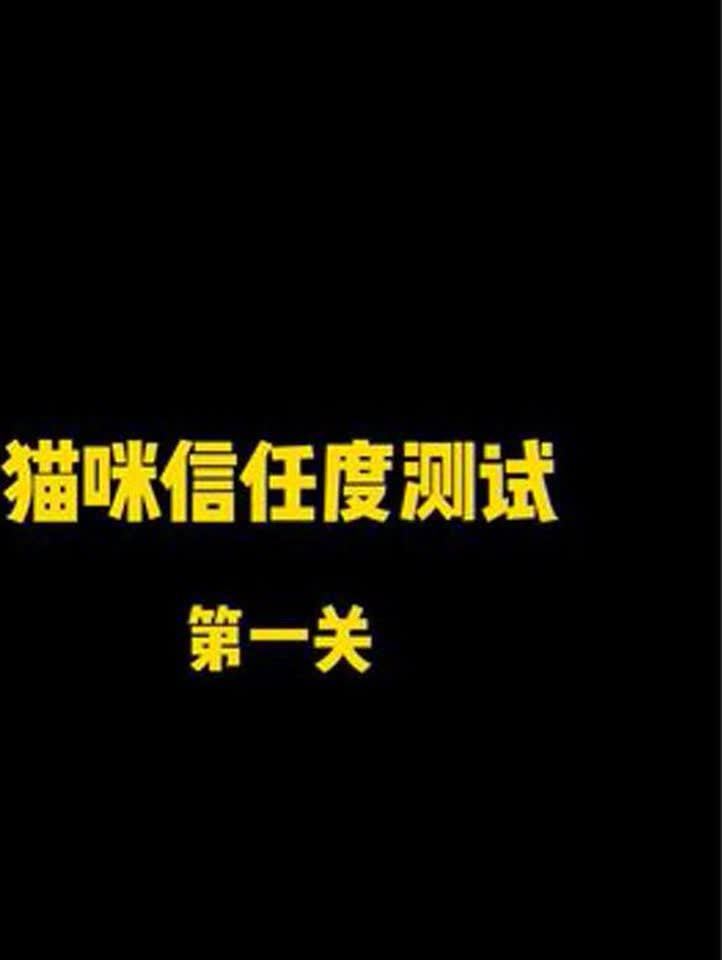 猫咪信任度测试来啦!咱家猫多,一关一关的来!#猫咪信任度测试