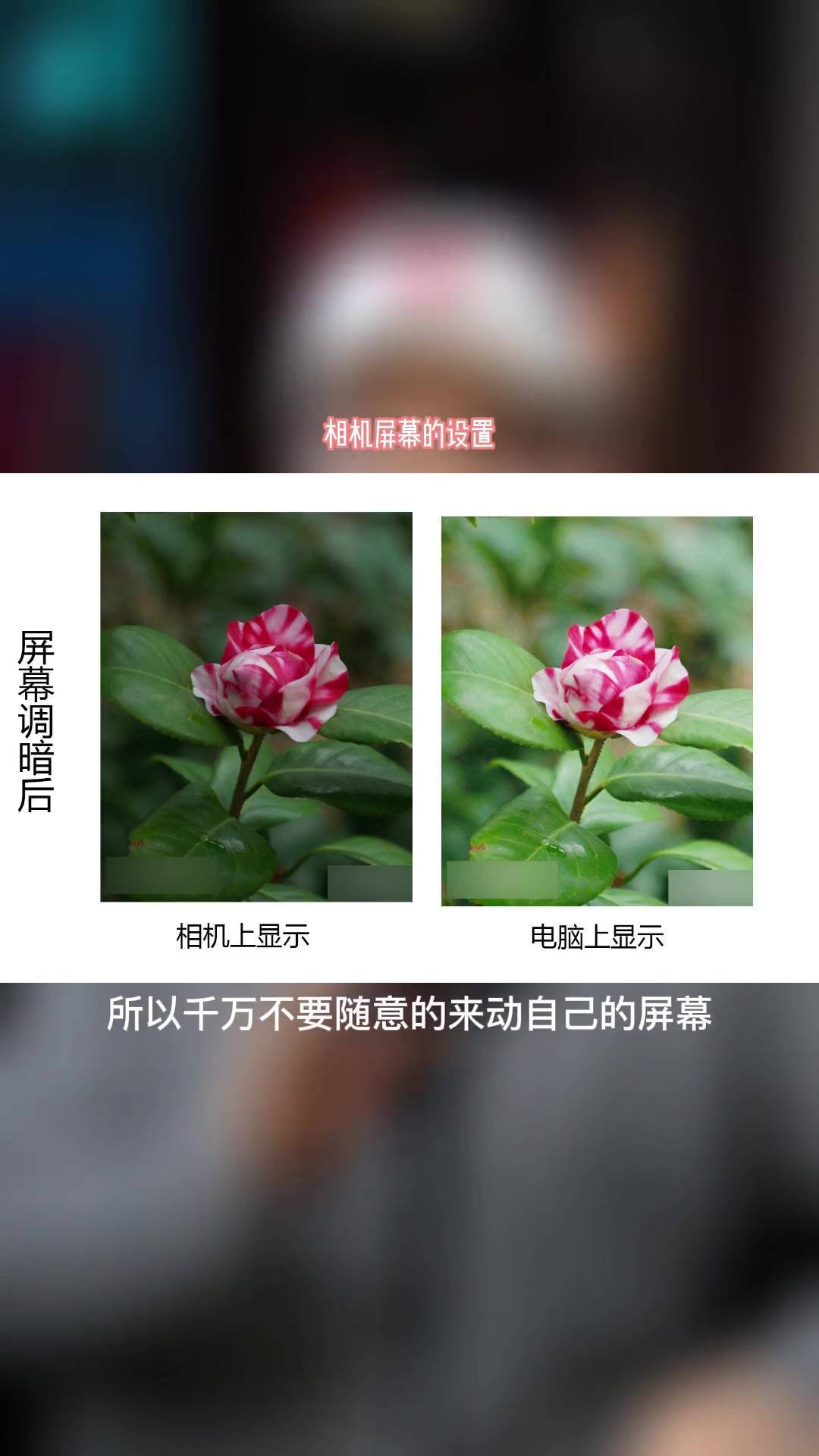 相机屏幕亮度如何设置,你设置对了吗