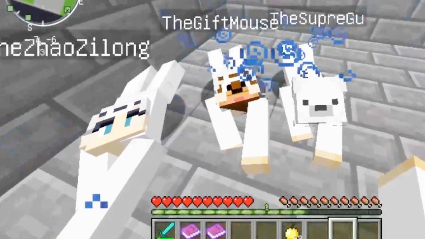 我的世界mc:给宠物起名字是门艺术 搞不好自己变王八