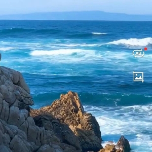 花海凤凰湖 