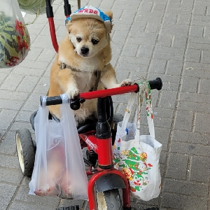 爱吃花生的铍钠铽 