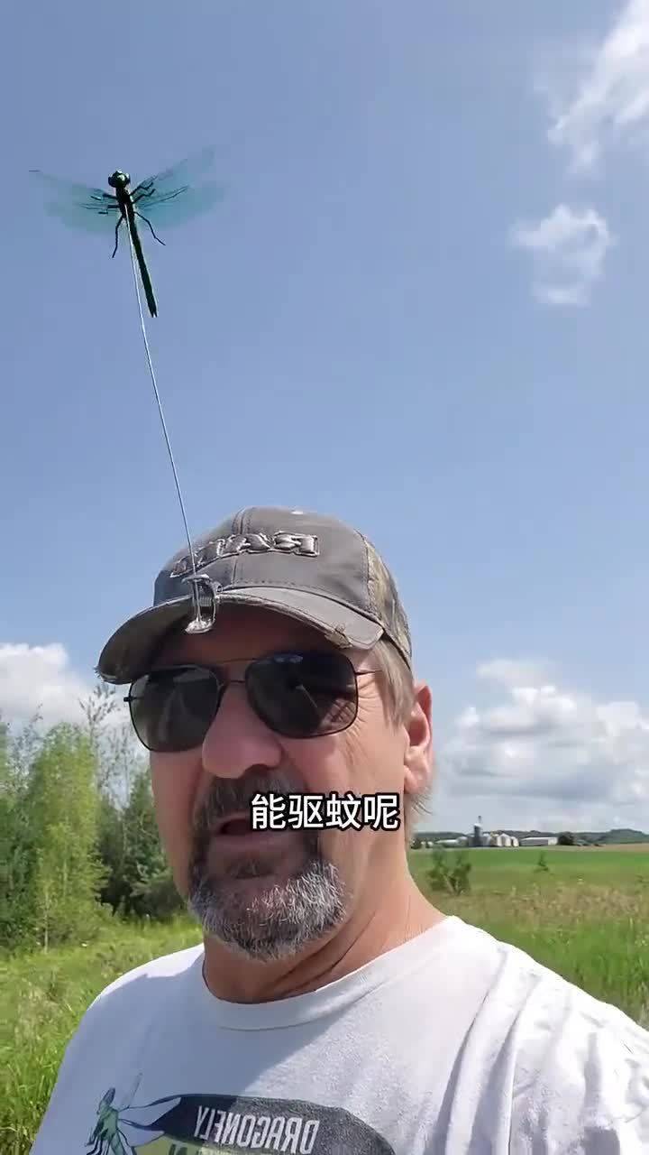 蜻蜓模拟器真的会驱蚊吗?究竟是什么原理