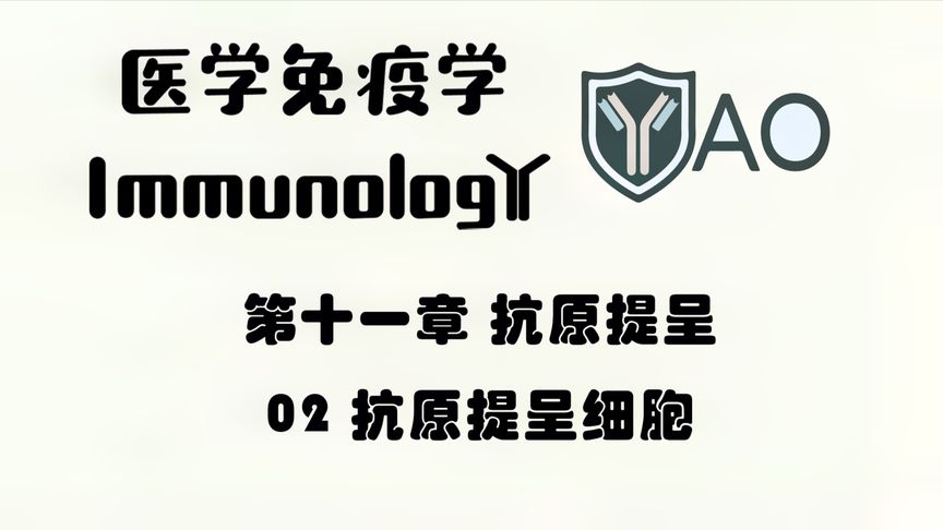 11_02 抗原提呈细胞