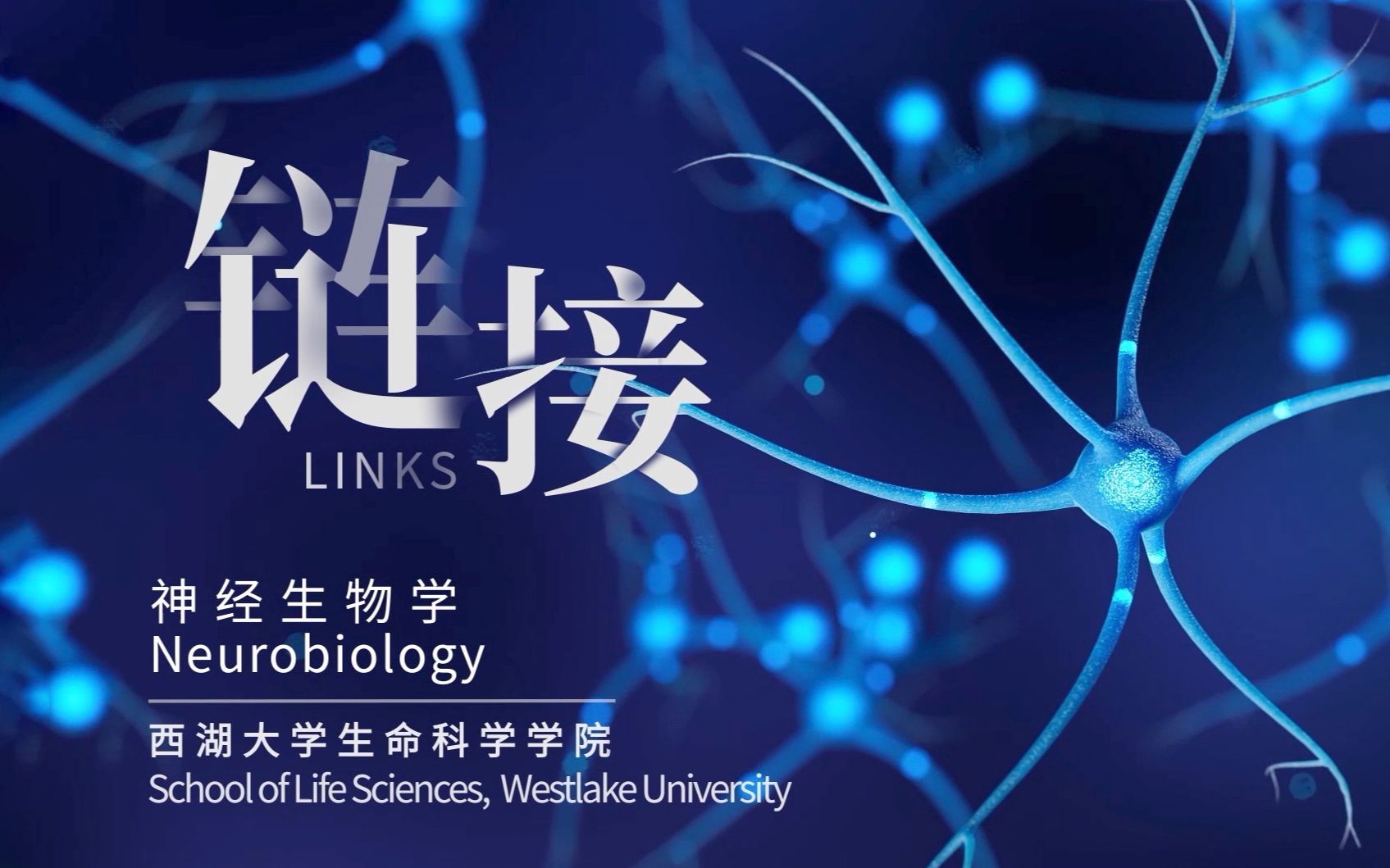 链接|西湖大学生命科学学院神经生物学Program宣传片