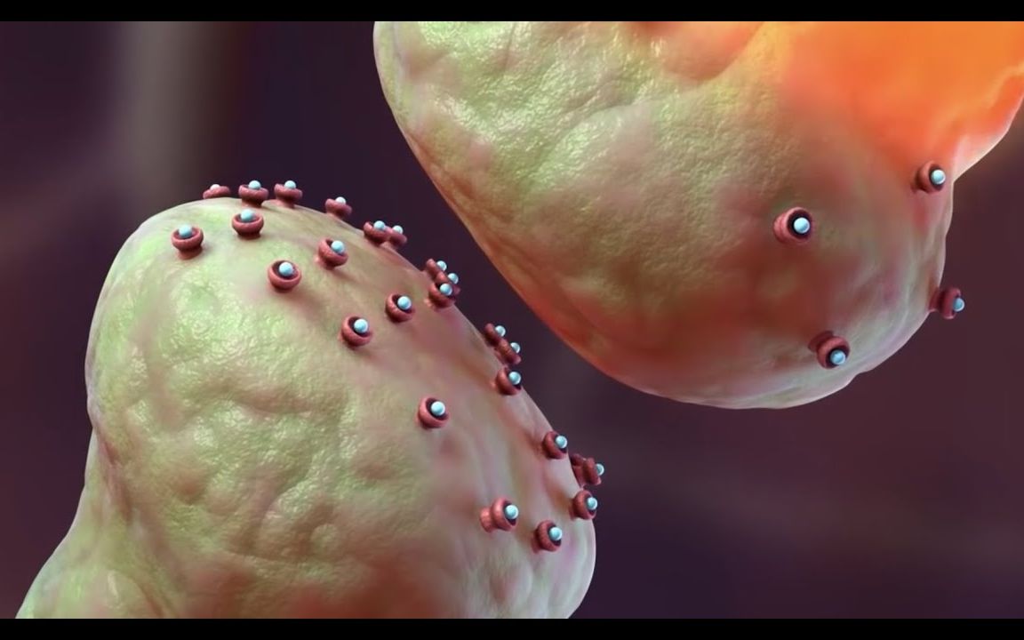 芬太尼等阿片类药物是如何“劫持”大脑的?| 合理用药,拒绝滥用 | 双语...