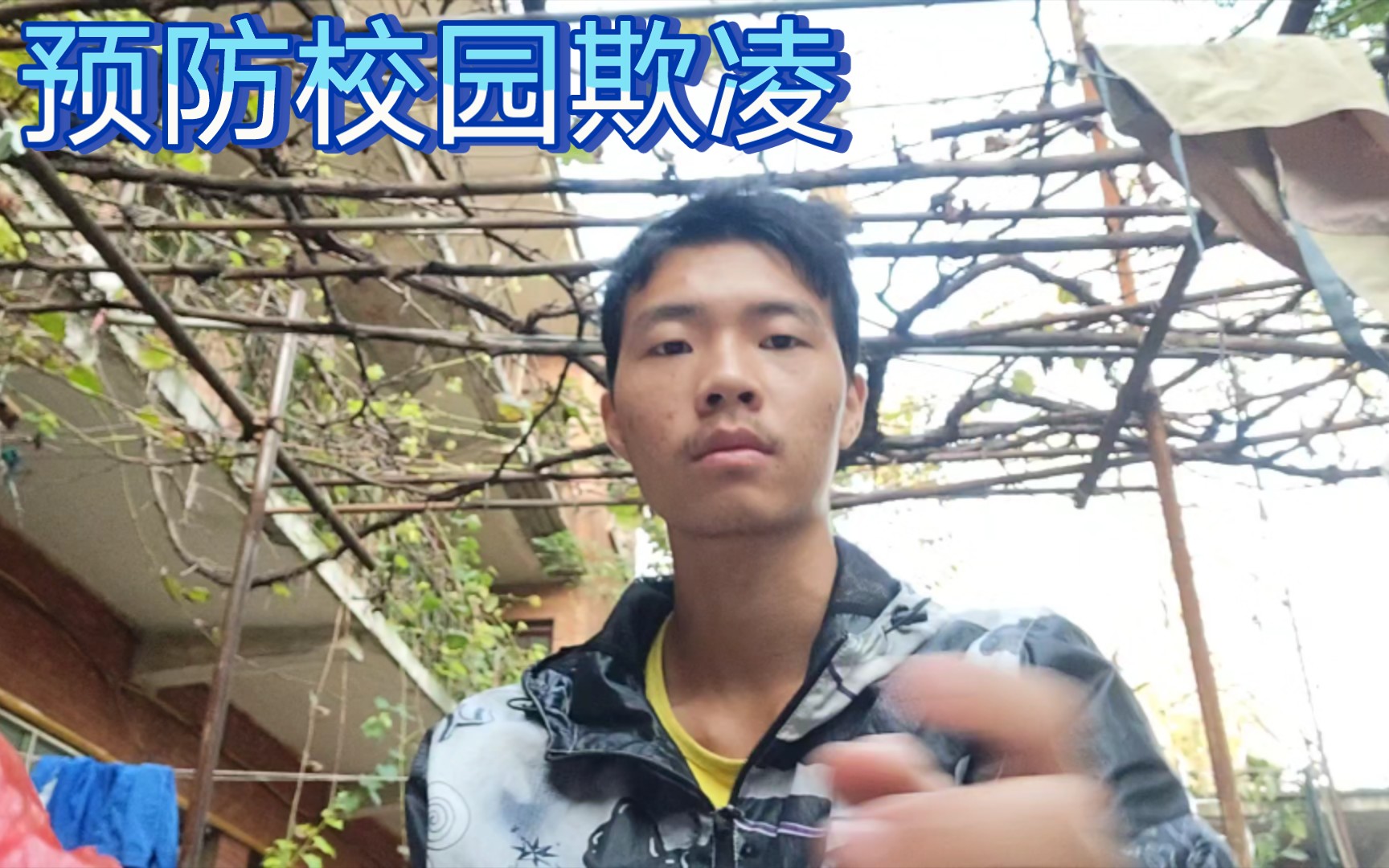 如何预防校园欺凌,真心提出几点意见。