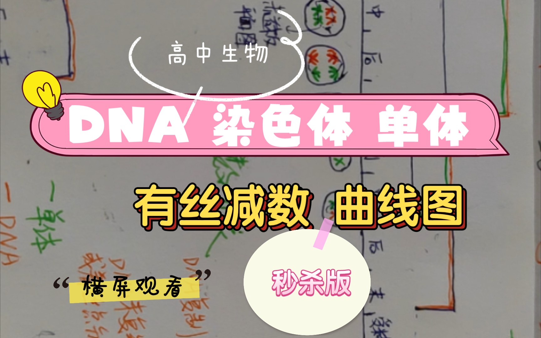 秒杀版本 曲线图2.0 减数和有丝分裂 DNA单体染色体分析 巴不得多来...