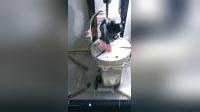 云南大象跑来玉邦啦—玉邦五轴玉石雕刻机,三维立体玉石雕刻机