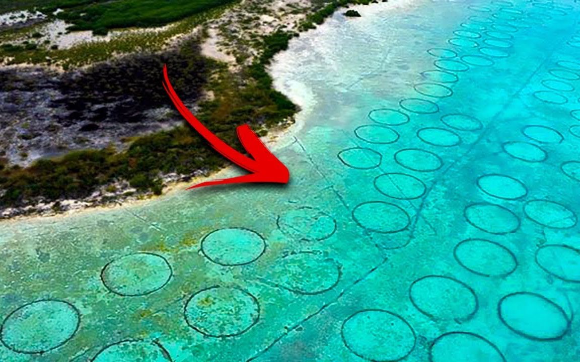 5大最奇特的海洋现象~有些甚至至今仍无法解释…人类在大自然目前...