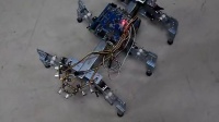 STM32控制器 -六足爬行-仿生昆虫机器人-超声波传感器方案视频