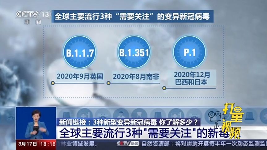 全球主要流行3种“需要关注”的新毒株,你了解多少?|共同关注