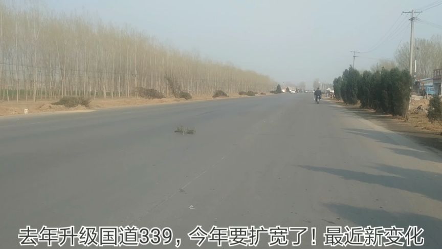 镇上到县城这段国道339今年要拓宽,两边的树木和房屋最近拆掉了