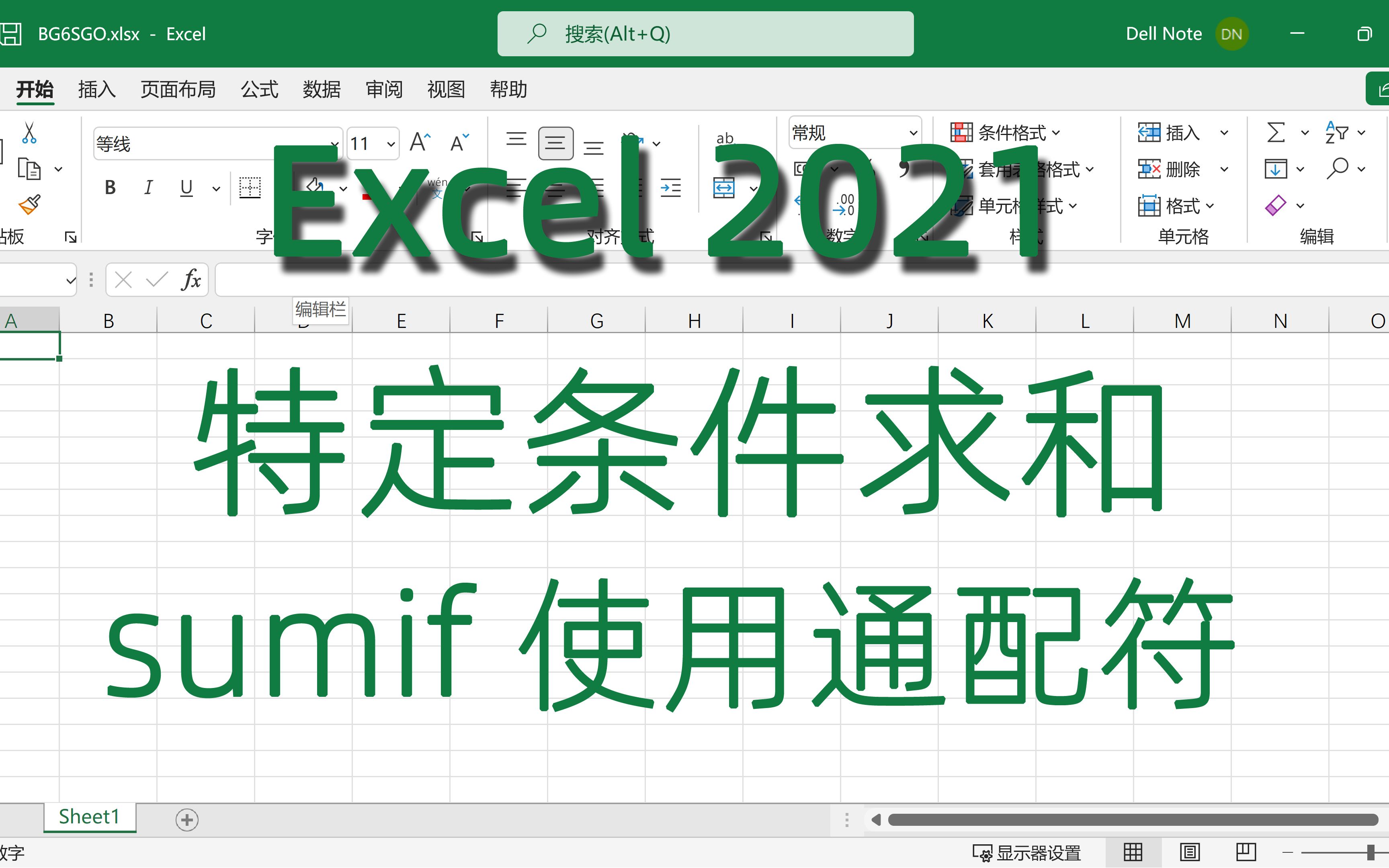 Excel 2021中特定条件求和函数sumif使用通配符求和