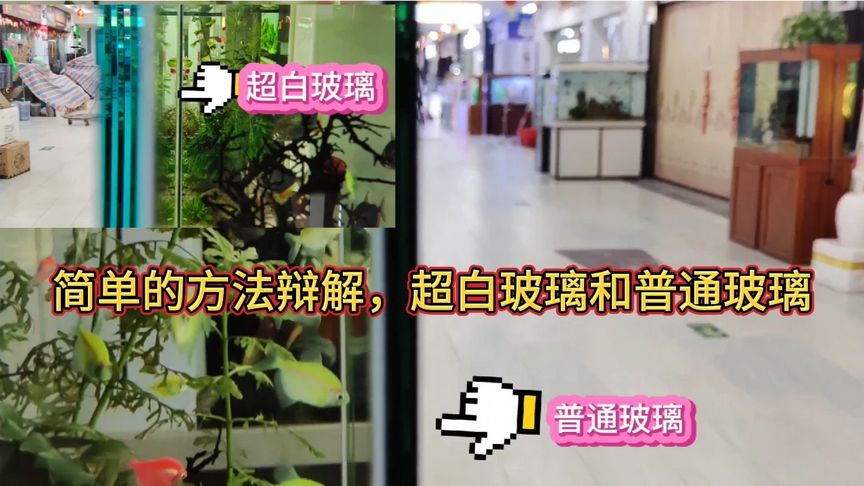 买鱼缸我们怎么挑选?超白玻璃和普通玻璃,看一下最简单的方法