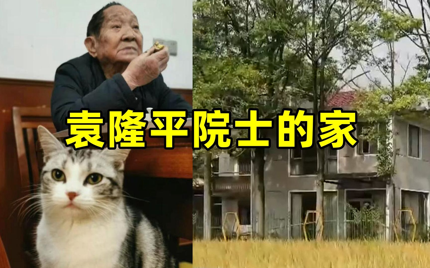 央视探访袁隆平院士的家