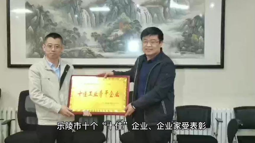 送出100朵“小红花” 乐陵市“十佳”企业、企业家受表彰