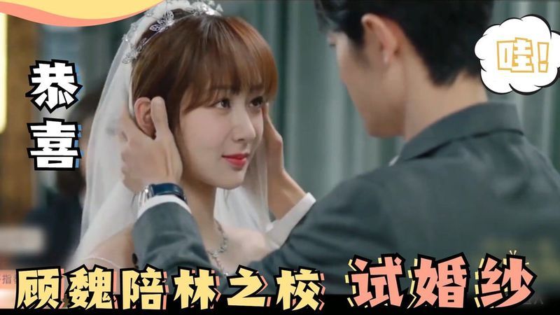 顾魏陪林之校试婚纱,林之校太美顾魏看直眼